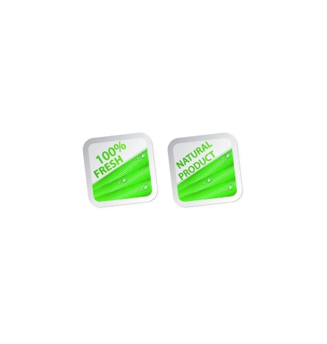 Stevia leaves natural sweetener icon or label Vector Image