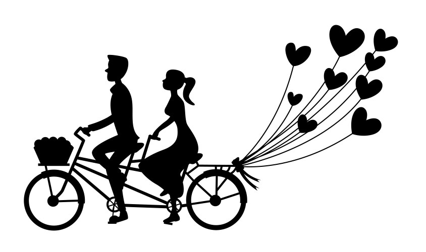 Wedding couple riding bicycle just married Vector Image