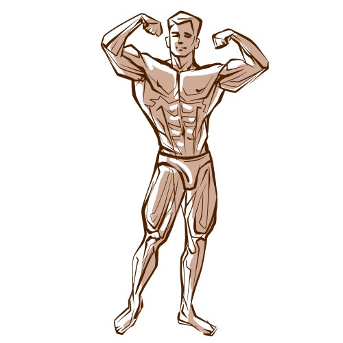 Fitness men posing muscular man stands rippling Vector Image