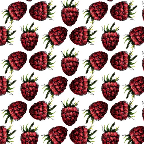 Raspberry pattern Royalty Free Vector Image - VectorStock