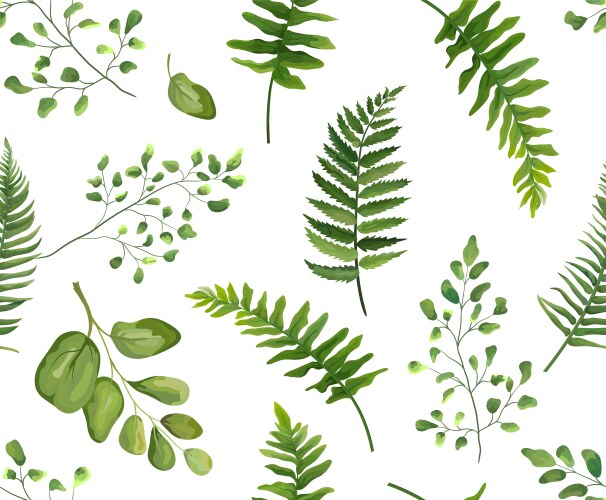 Botanical Leaves Vector Images (over 200,000)