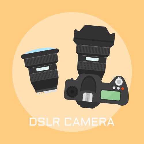 Dslr photo camera flat style Royalty Free Vector Image