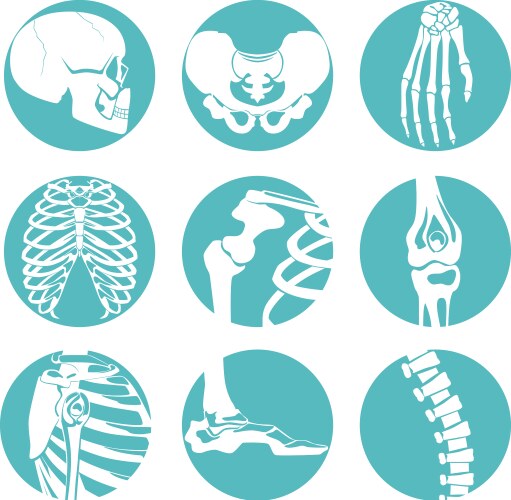 Anatomy Vector Images (over 210,000)