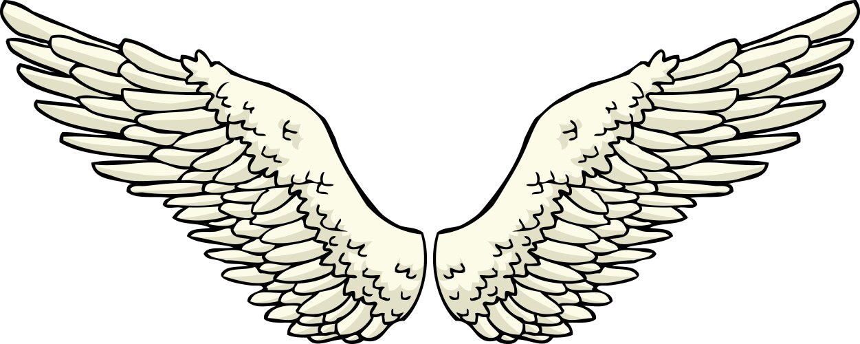 Cartoon Wings