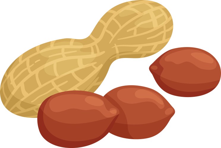 Peanut set isolated groundnuts hand drawn Vector Image