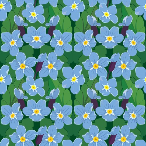 Forget Me not Vector Images (over 2,500)