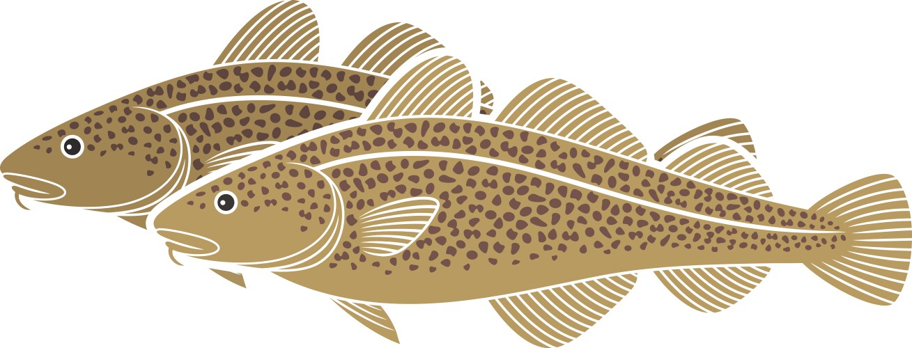Cod Fish Vector Images (over 3,100)