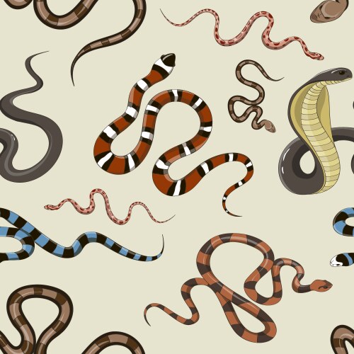 Snake Pattern Vector Images (over 13,000)