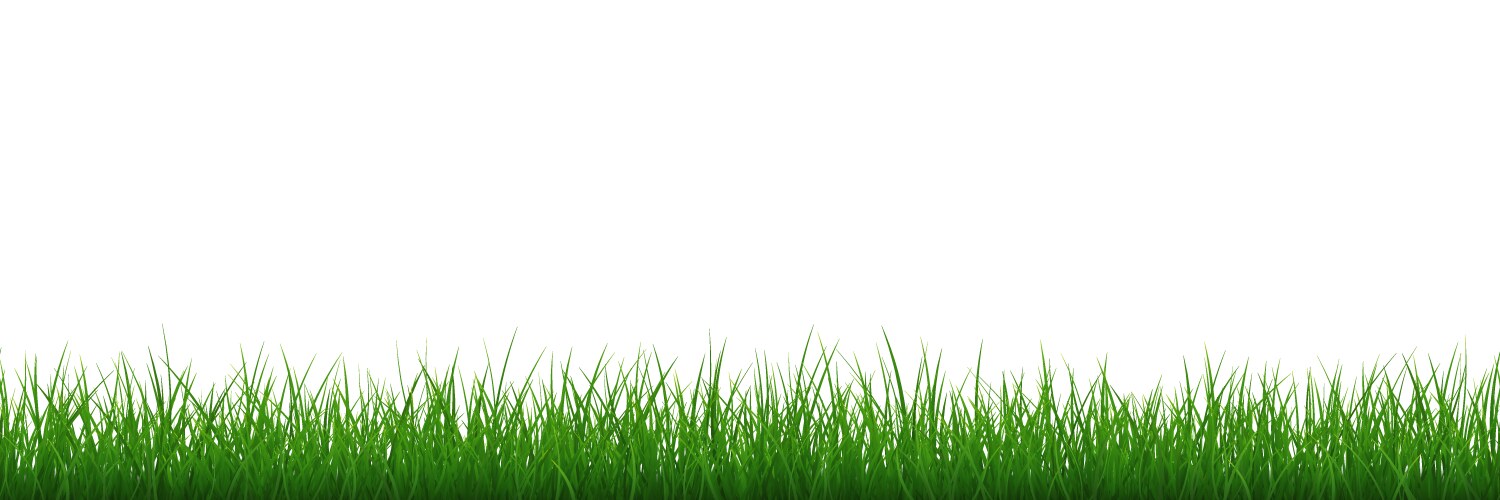 Grass Texture Vector Images (over 31,000)