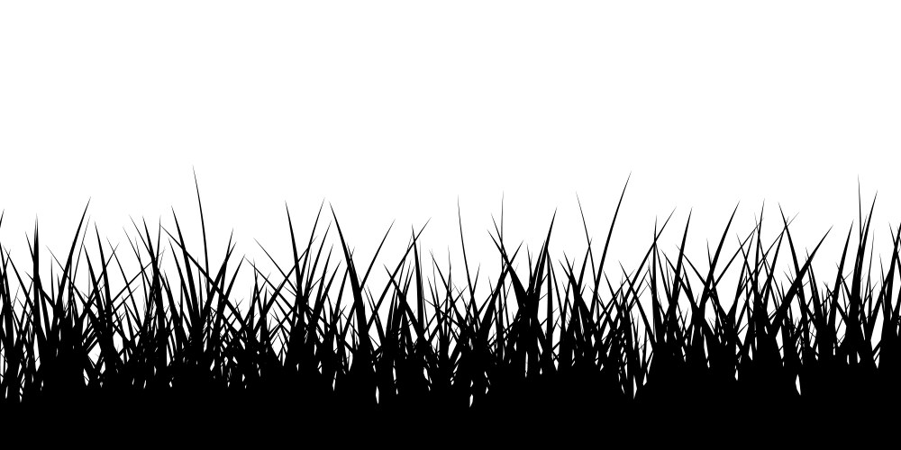 Swamp Reeds Border Royalty Free Vector Image - VectorStock