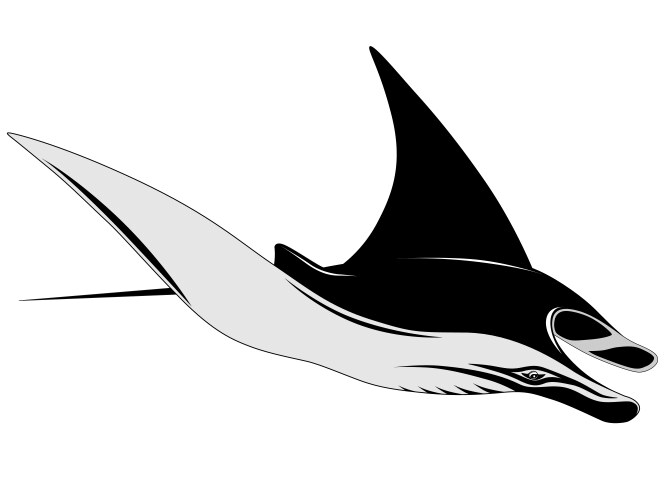 Manta ray Royalty Free Vector Image - VectorStock