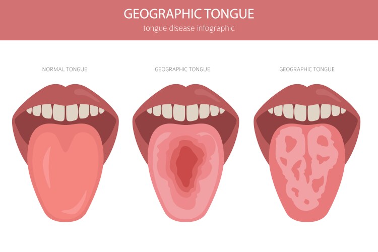 Tongue geographic 1 Royalty Free Vector Image - VectorStock