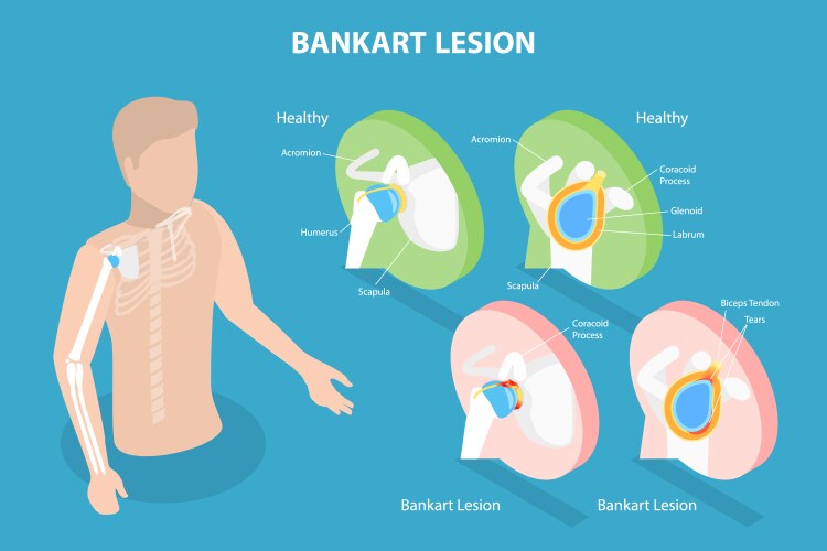 Recurrent Vector Images (over 840)