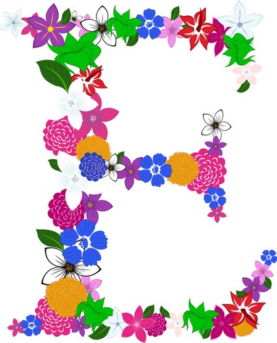 Letter e floral design Royalty Free Vector Image