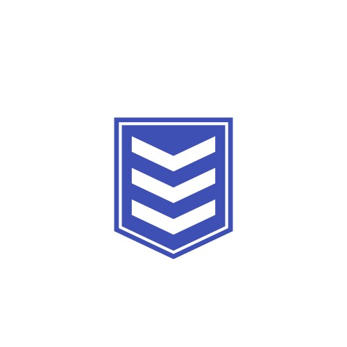 Rank shoulder line icon badge and army epaulette Vector Image