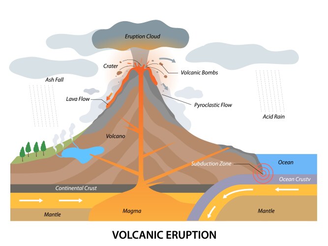 Volcano Cross Section Cross Section Of Volcano Stock Vector By