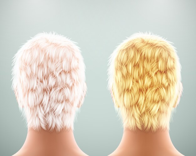 Prototype of man Royalty Free Vector Image - VectorStock