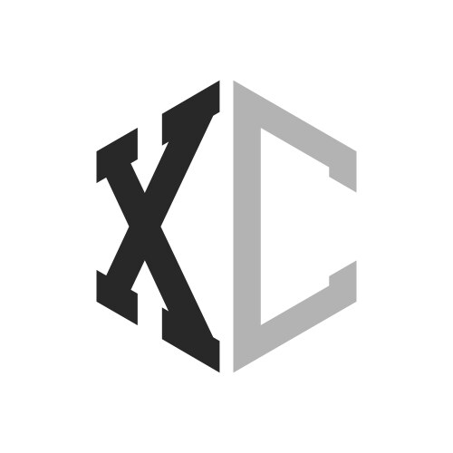 Modern unique hexagon letter ox logo design Vector Image