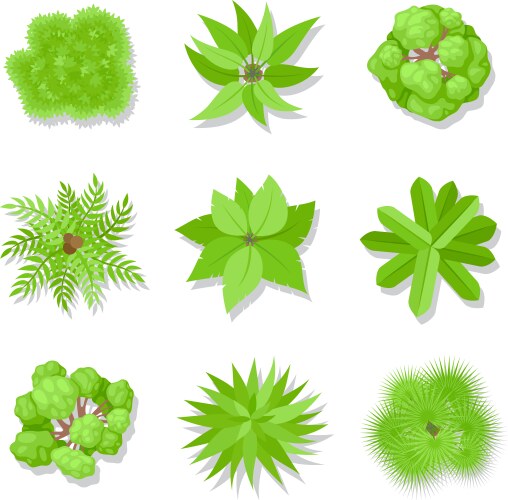 Tree Top View Vector Images (over 7,300)