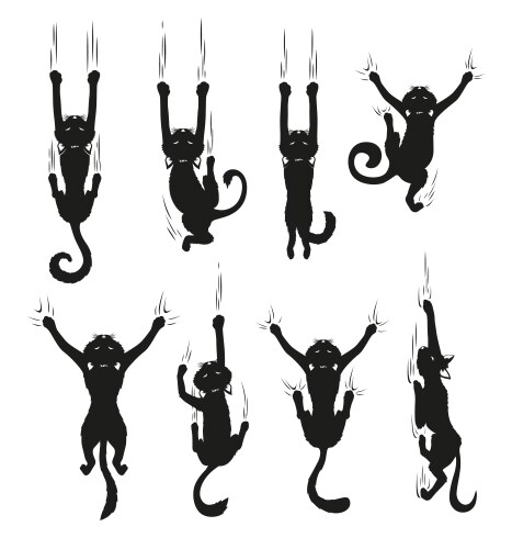 Cat Climbing Vector Images (over 870)