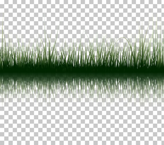 Grass on water Royalty Free Vector Image - VectorStock