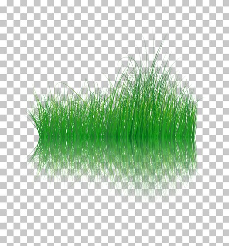 Grass Illustrator Vector Images (over 230,000)
