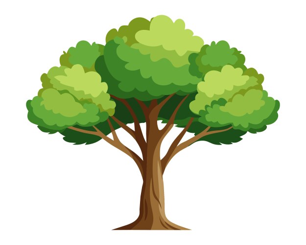 Ashoka tree isolated flat on white background Vector Image