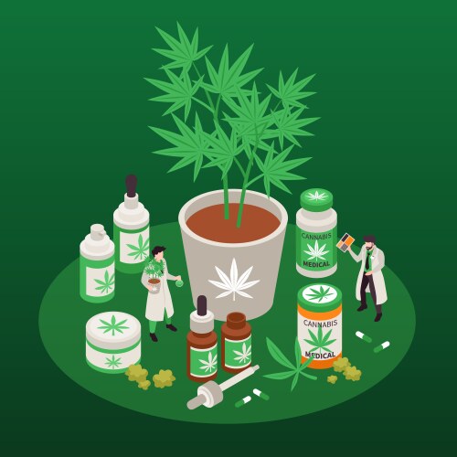 Medical cannabis isometric infographics Royalty Free Vector