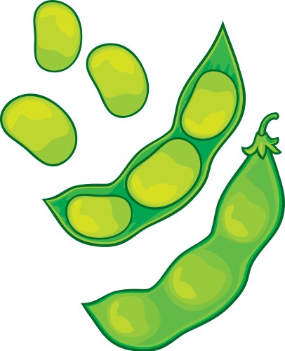 Beanbag Royalty Free Vector Image - VectorStock