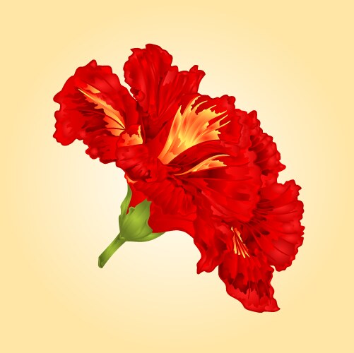 Free Simple Vector Images (over 140,000)