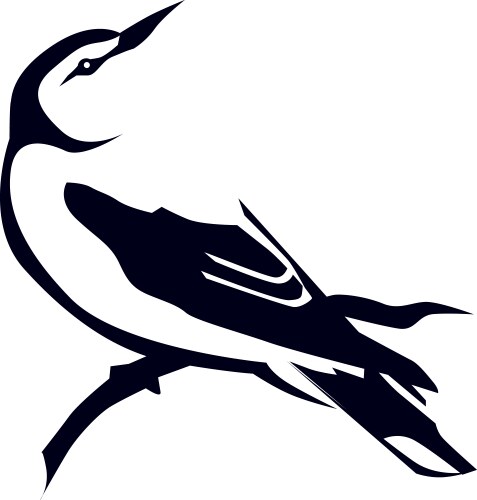Bird Vector Images (over 630,000)
