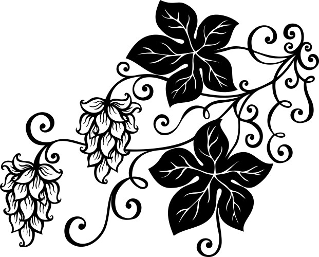 Hop Flower Pattern Royalty Free Vector Image - VectorStock