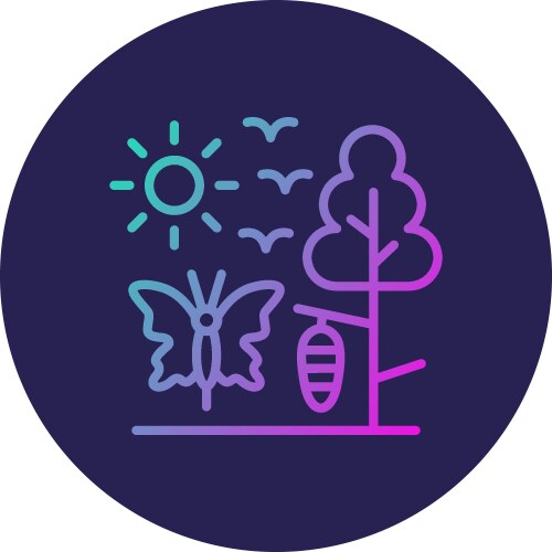 Metamorphosis Vector Images (over 3,600)