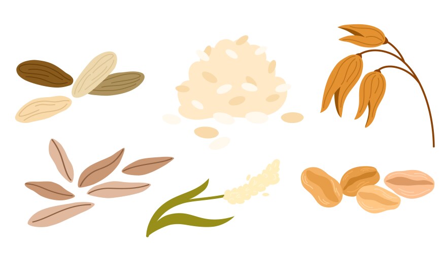 Rice Vector Images (over 90,000)