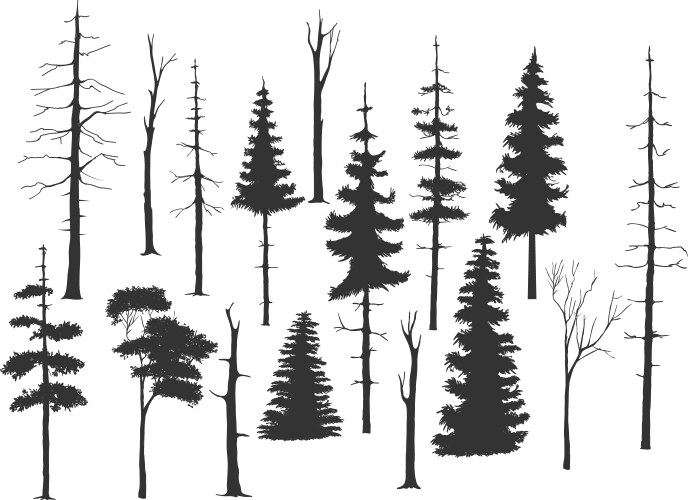Pine Tree Vector Images (over 150,000)