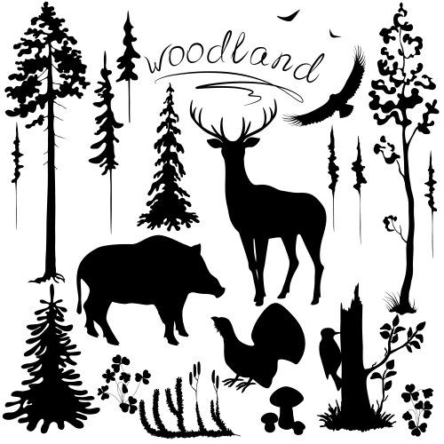 Woodland Vector Images (over 51,000)