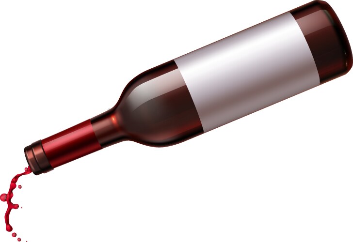 Red wine splash collection Royalty Free Vector Image