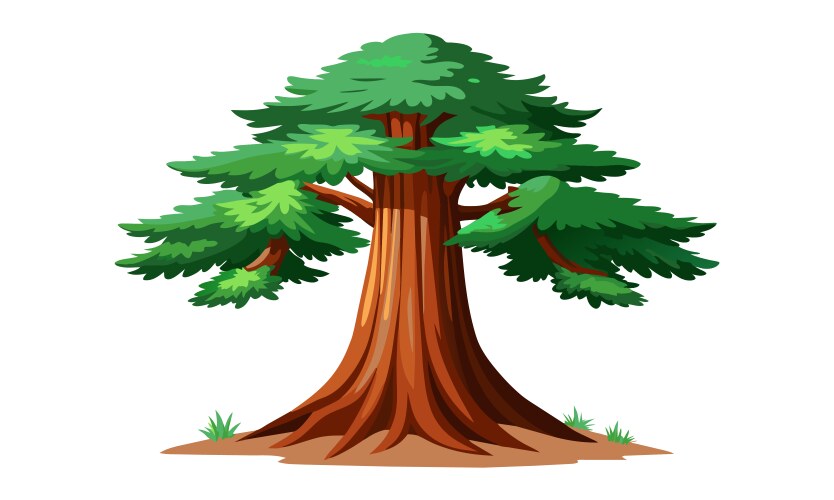 Redwood Tree Vector Images (over 300)