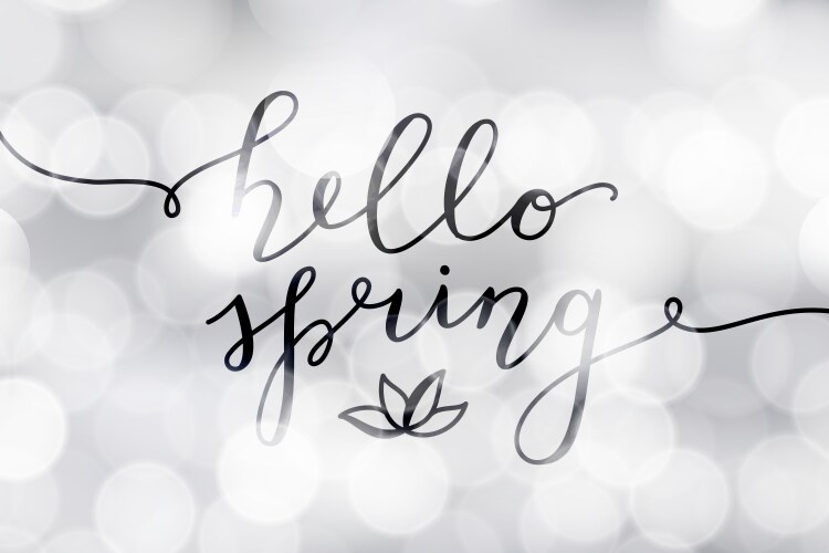 Hello spring Royalty Free Vector Image - VectorStock