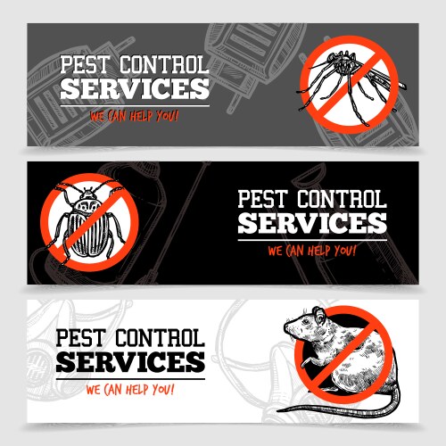 Pest control posters cockroach Royalty Free Vector Image