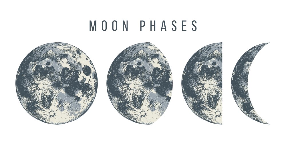 Antique style moon phases isolated Royalty Free Vector Image