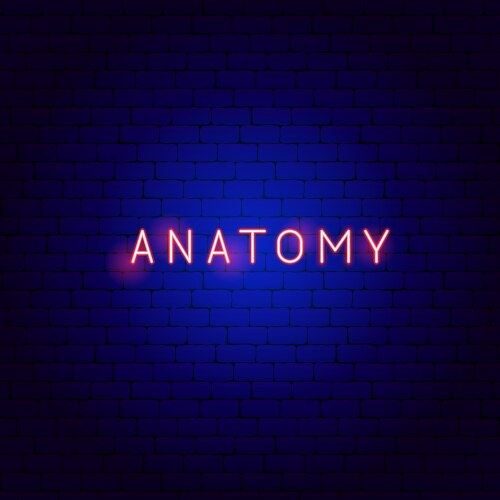 Anatomy body neon text Royalty Free Vector Image