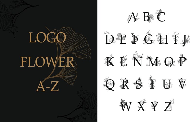 Calligraphy Font a Z Vector Images (over 5,700)