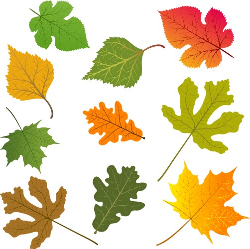 Leaves Vector Images (over 760,000)