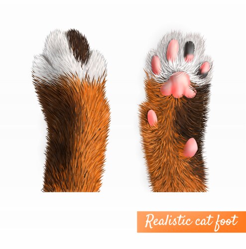 Cat Foot Vector Images (over 18,000)