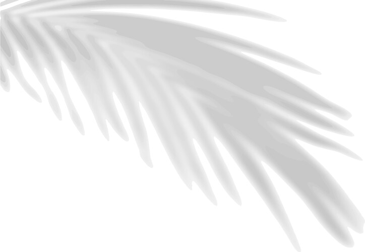 Shade Vector Images (over 120,000)