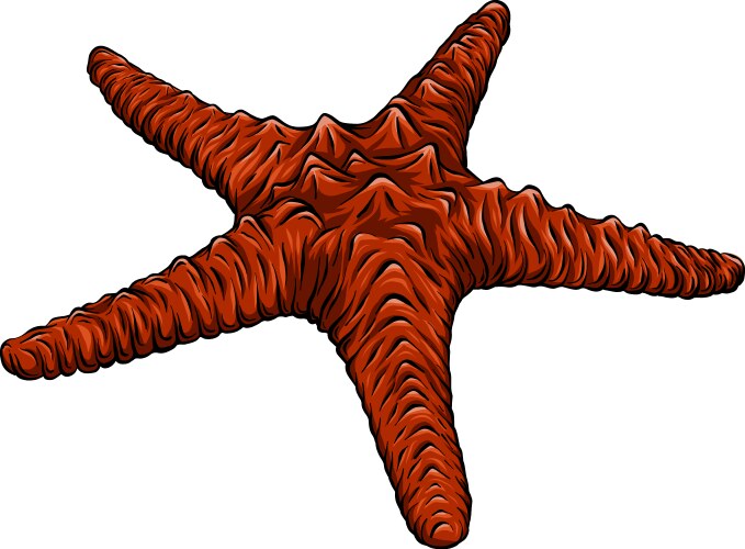 Starfish Cartoon Vector Images (over 17,000)