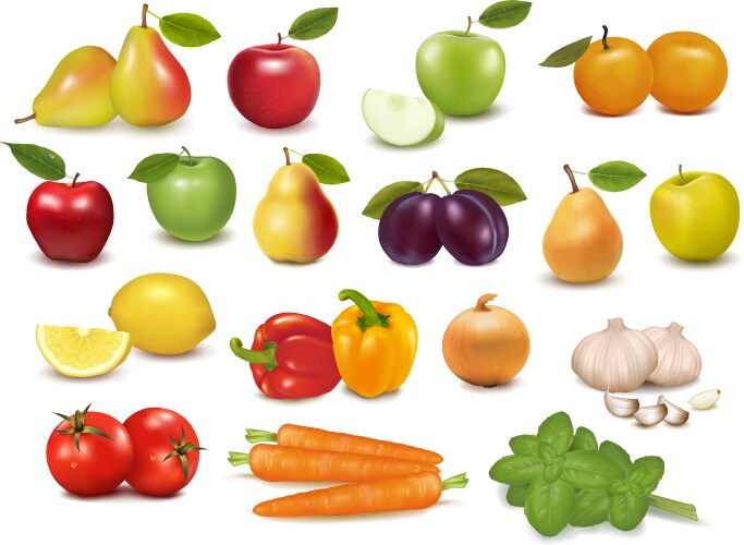 Different fruits Royalty Free Vector Image - VectorStock