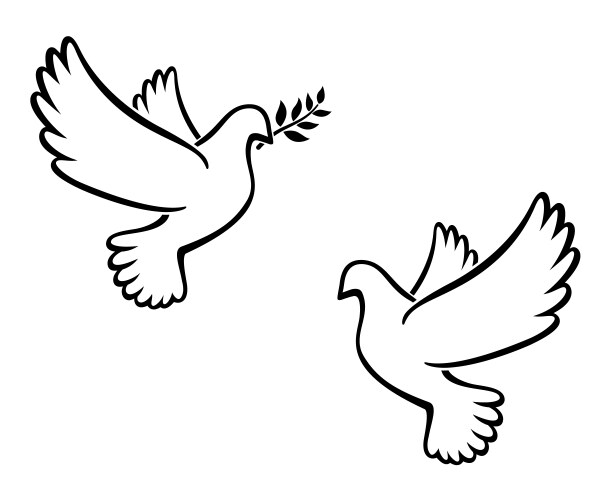 Dove Outline Vector Images (over 13,000)