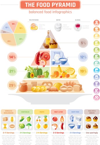 Fast food infographics statistics template Vector Image
